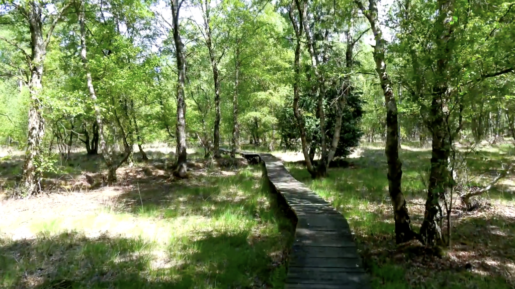 Kunstwegen Bathorn – SK Fotostyle